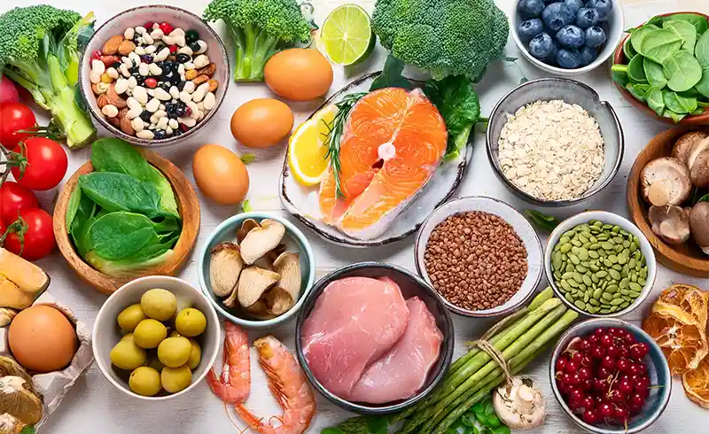 High Protein Foods List - Top 10 of Every Category